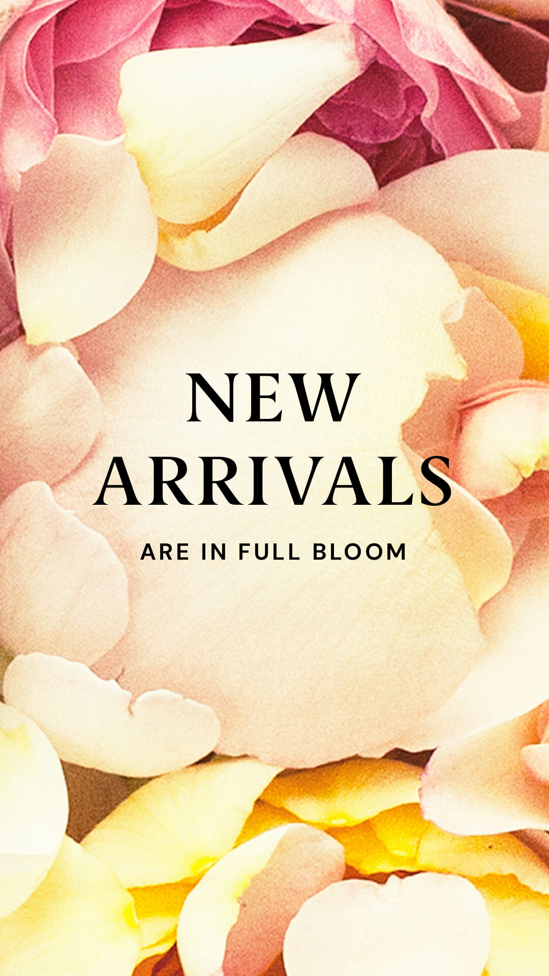 Stories – Luke Schultz